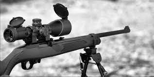 The Best Rimfire Scopes 22lr in 2022 - Outdoor Discovery